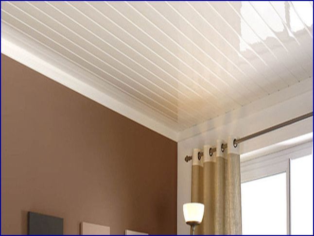 Tips for Choosing Ceiling Panels – Life Horizons